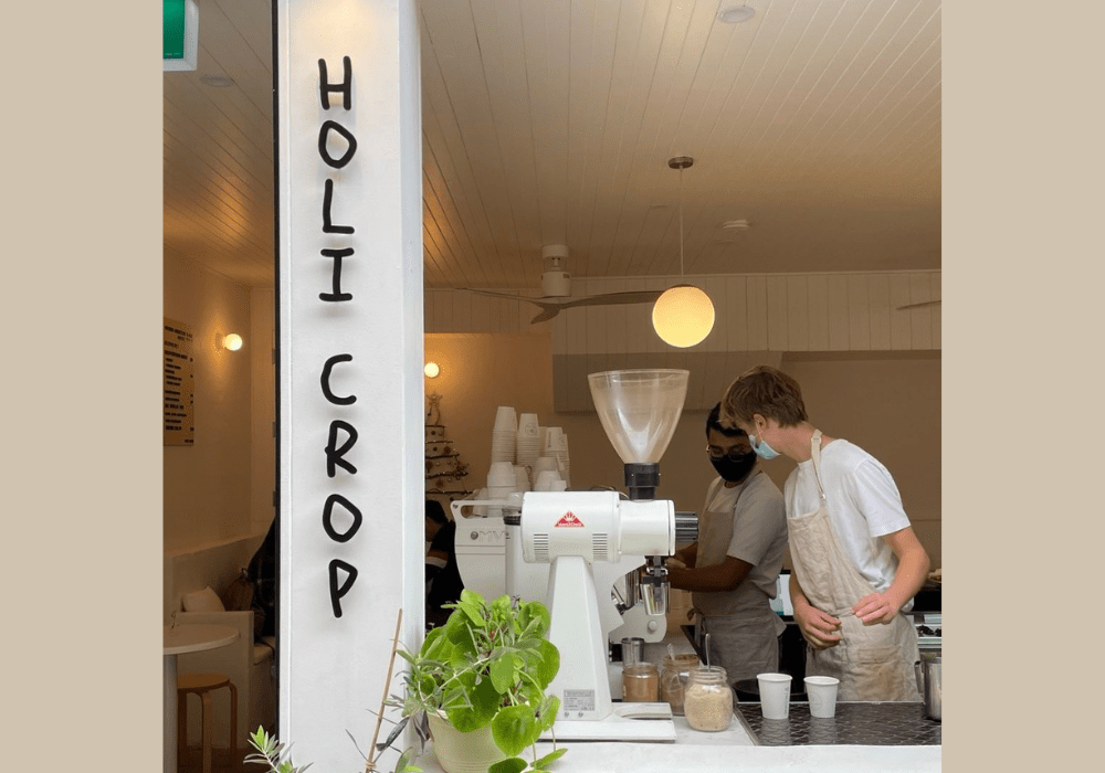 Holi Crop - Better Business Partnership